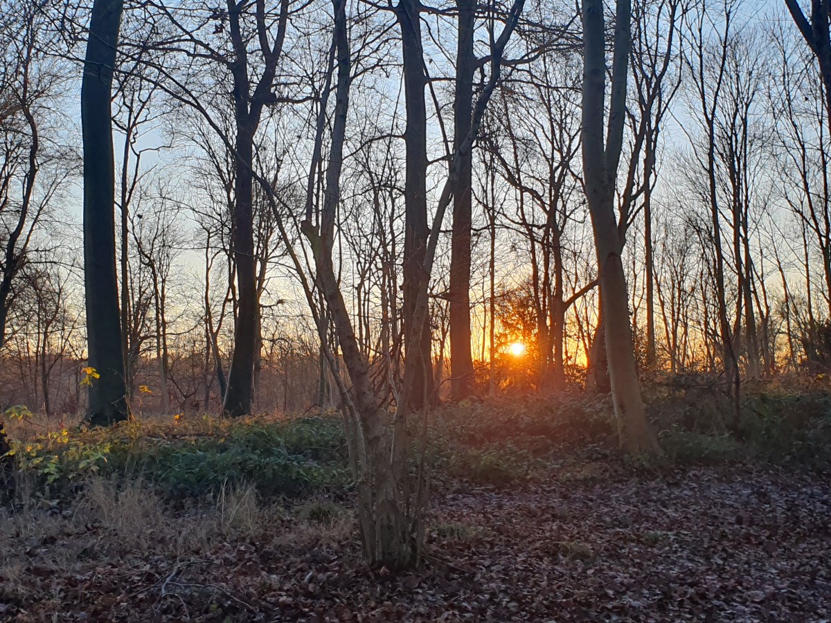 Poem: Winter’s Light | rhap.so.dy in words